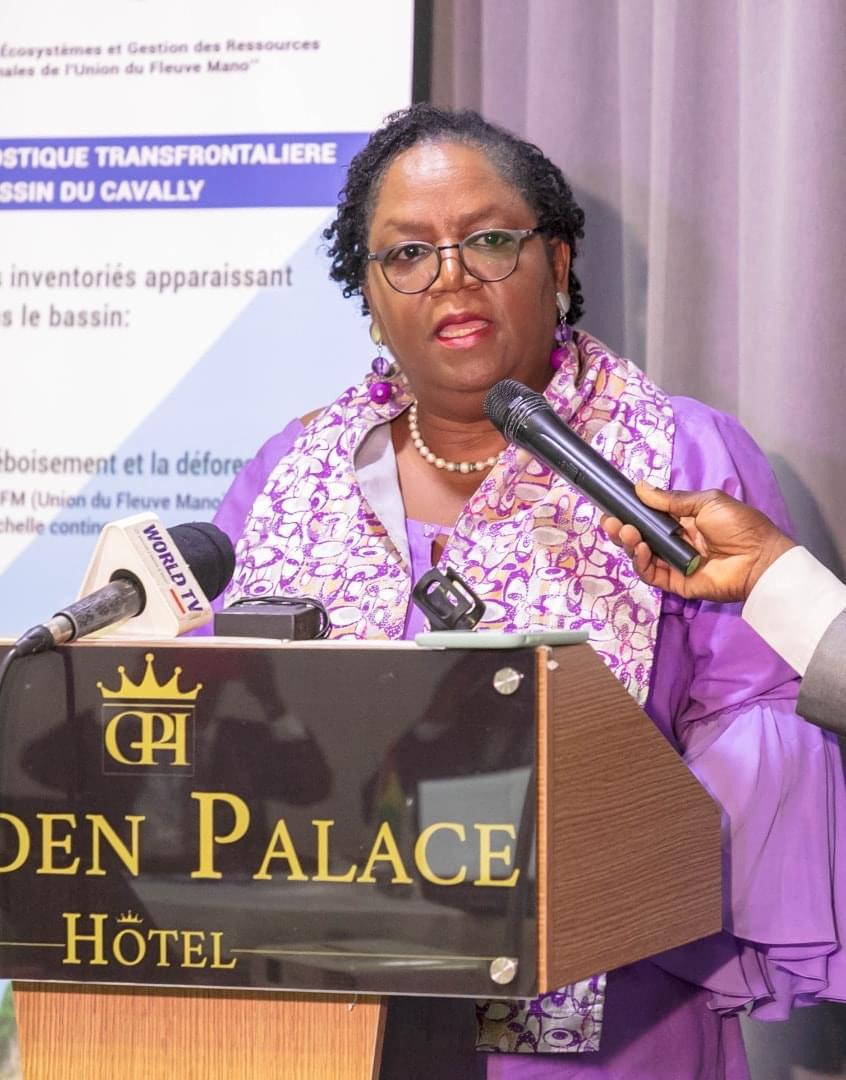 Experts from the countries making up the Mano River Union (MRU) - Mano ...